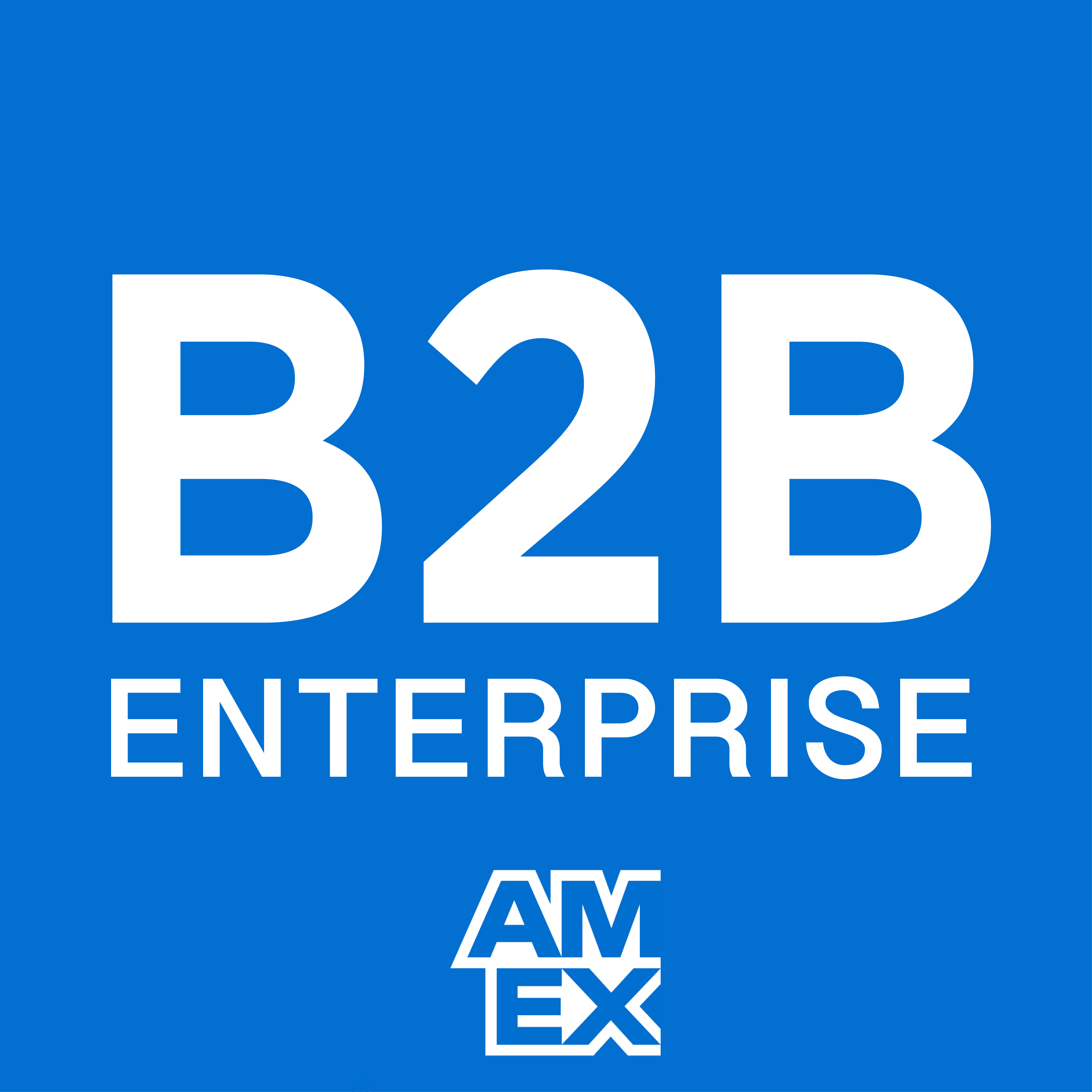B2B Enterprise